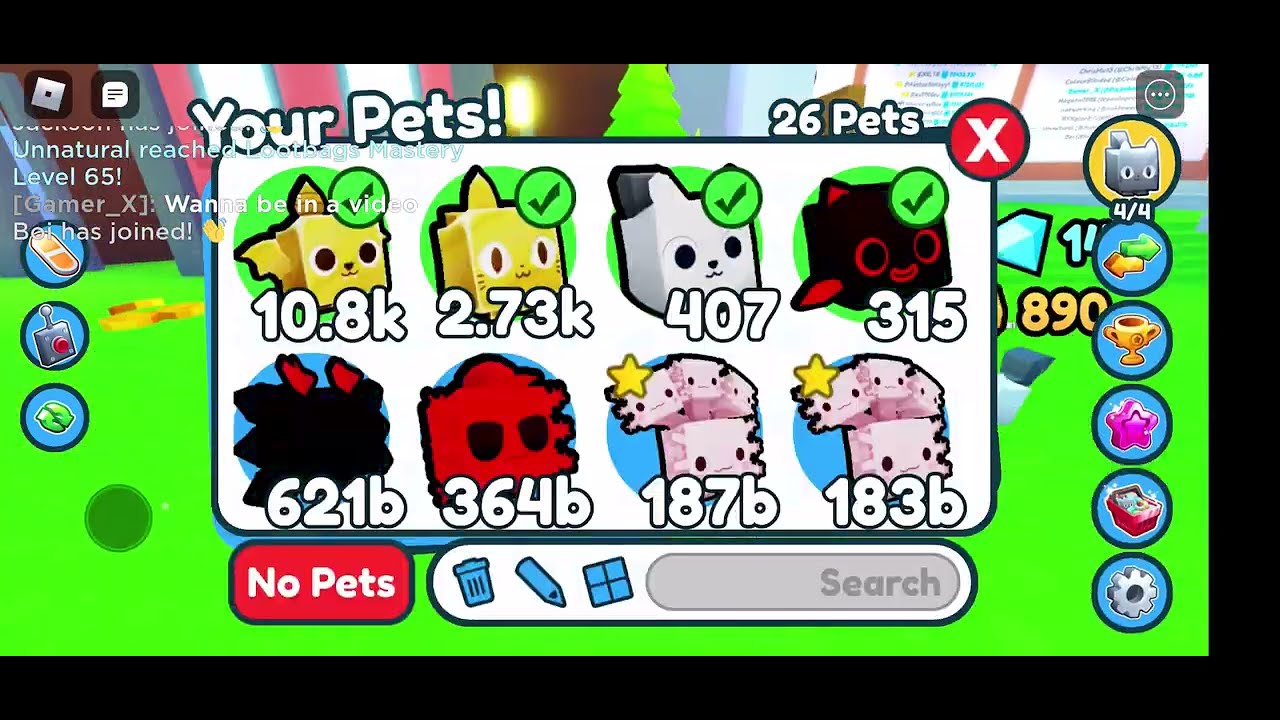 Pet sim with the life of Gavin - YouTube