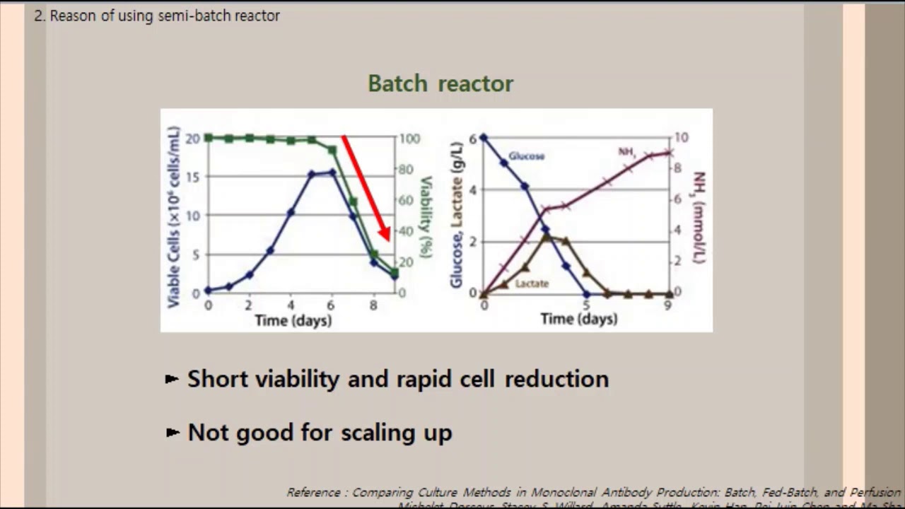 chemical reaction engineering term project team 9 - YouTube