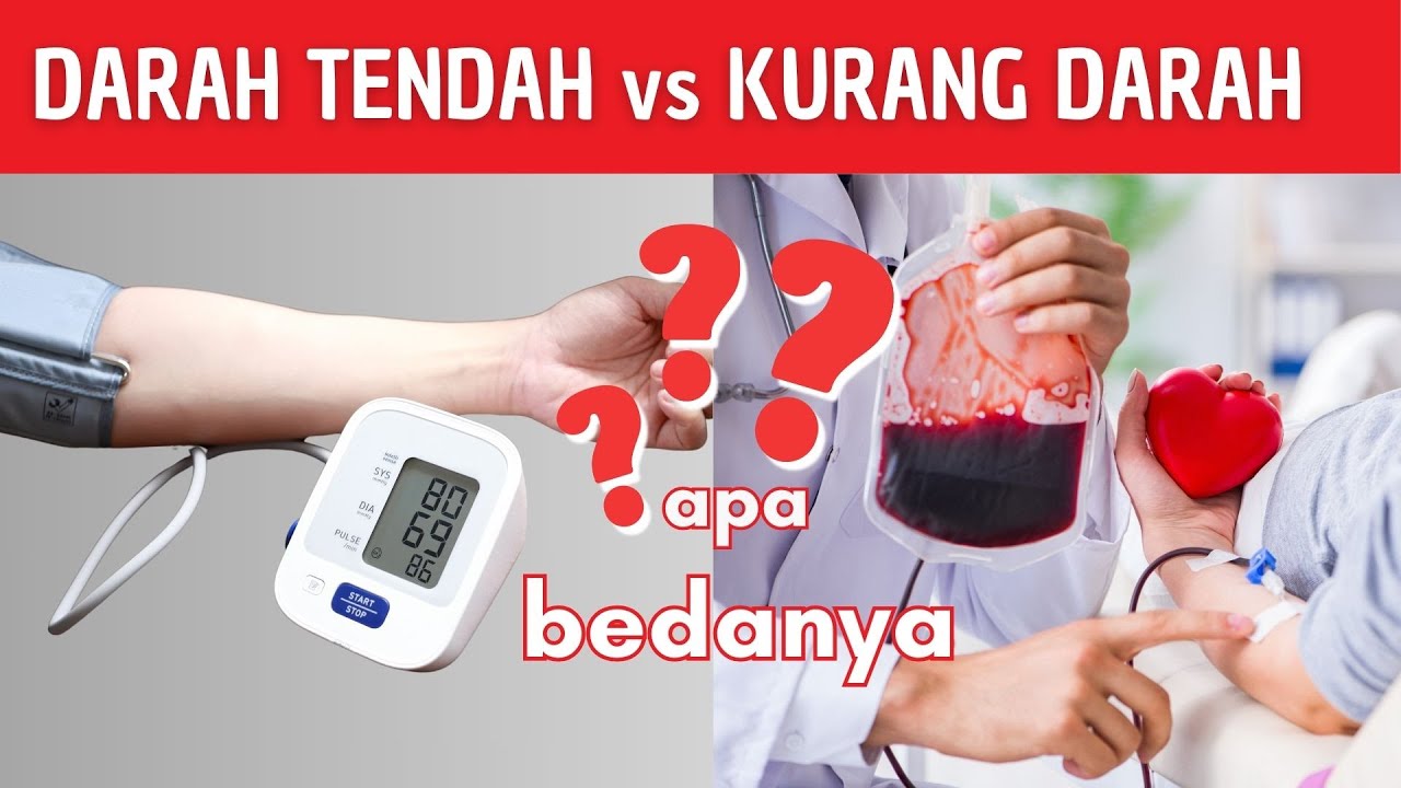 Darah Rendah atau Kurang Darah? Ketahui Bedanya dan Cara Mengatasinya ...