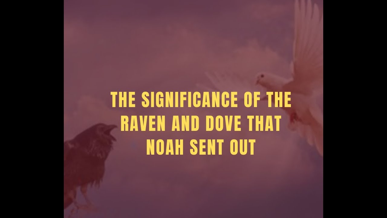 Why did Noah release a raven? - YouTube