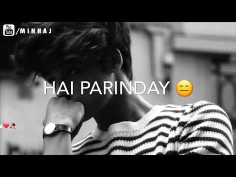 RooH whatsapp status 39 sec