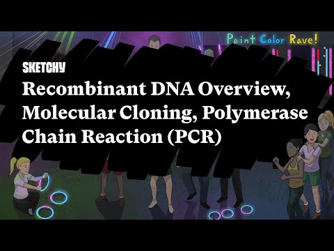 Recombinant DNA Overview, Molecular Cloning, Polymerase Chain Reaction (PCR) | Sketchy Medical