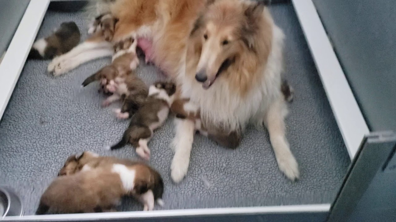6-19-20 CeCe and babies - YouTube