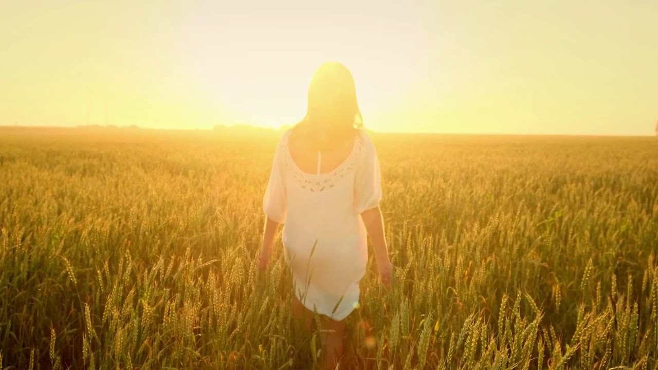 [Royalty Free Stock Video] Beautiful Woman Walking In Field Sunlight ...