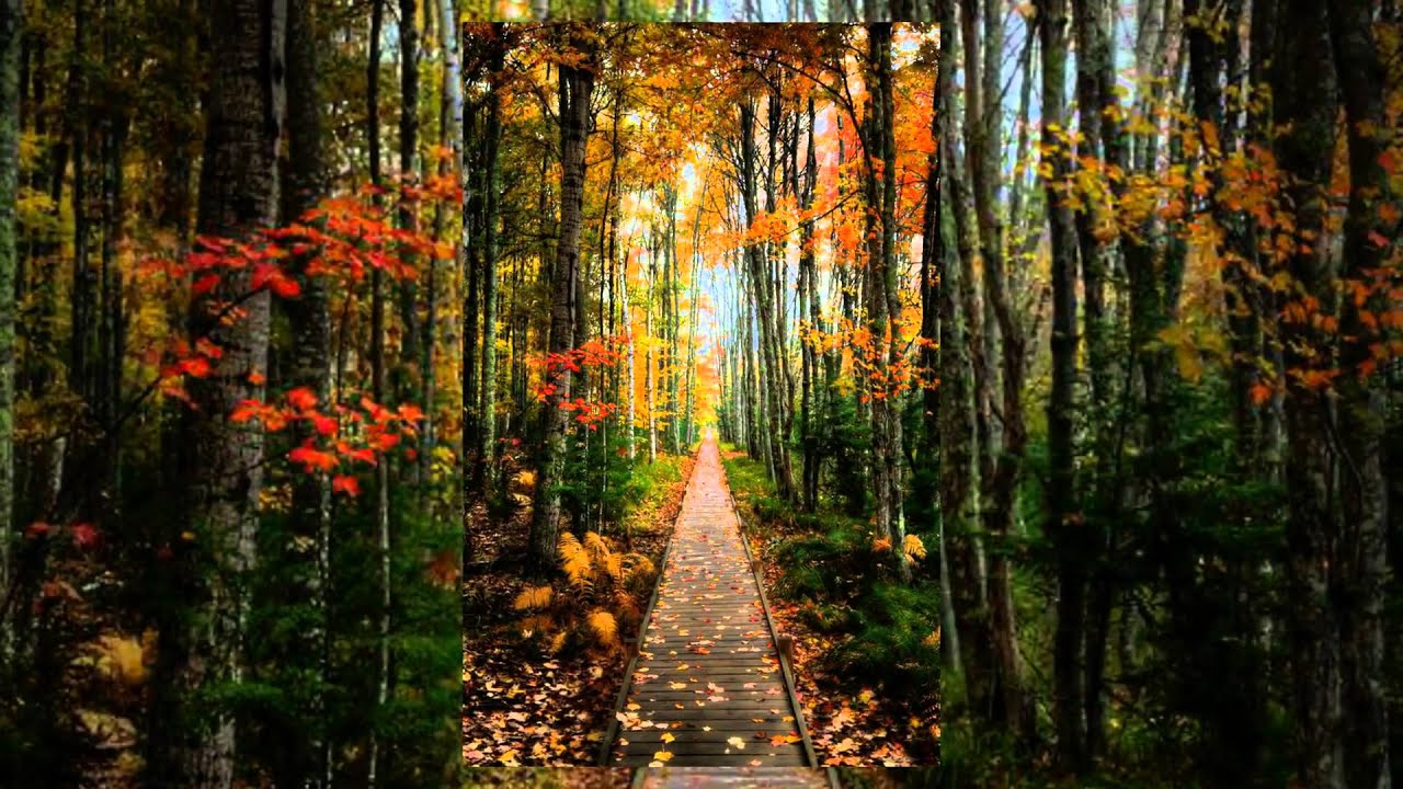 Wanderlust travels - Scenes of Fall - Autumn in New England - YouTube