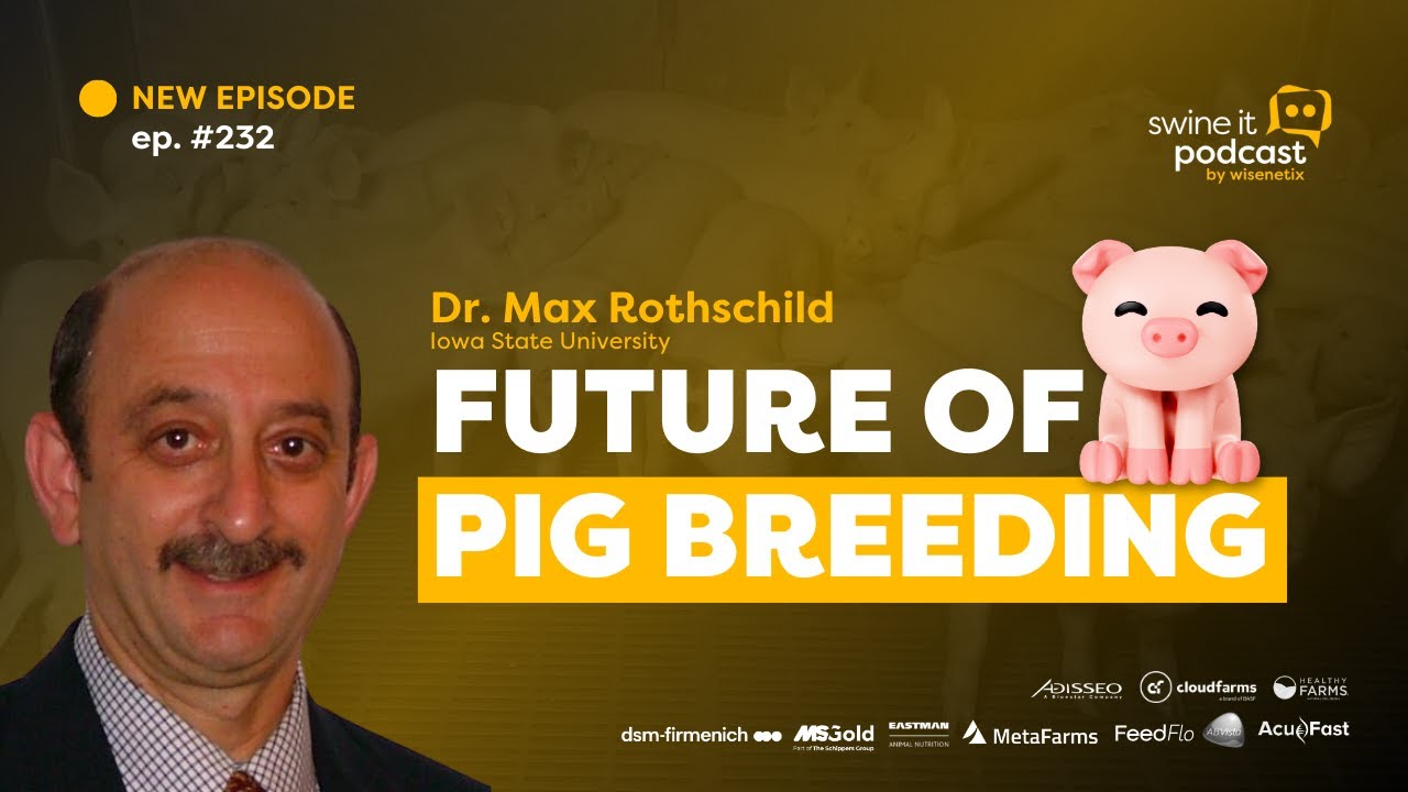 Dr. Max Rothschild: Future of Pig Breeding | Ep. 232 - YouTube