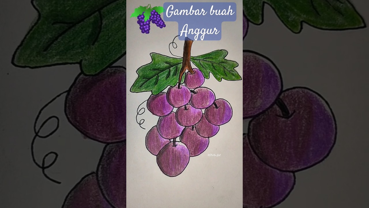 Gambar buah anggur #drawing #art #shortvideo - YouTube