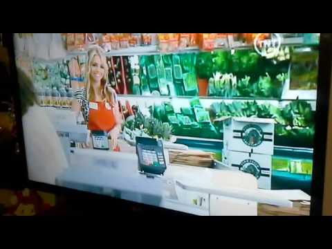 Oso tedi - YouTube