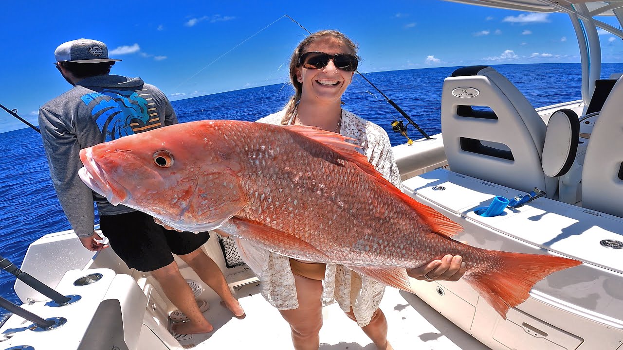 2 hours of EPIC Florida American Red Snapper Catch, Clean and Cooks ...