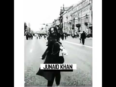 whatsapp status from snake videos