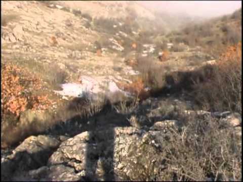 εκπαιδευτικο σε κυνιγη λαγου - YouTube