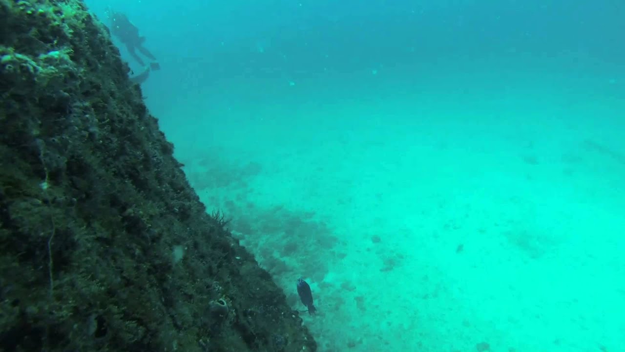 Diving wreck of Capt.Dan, Florida - YouTube