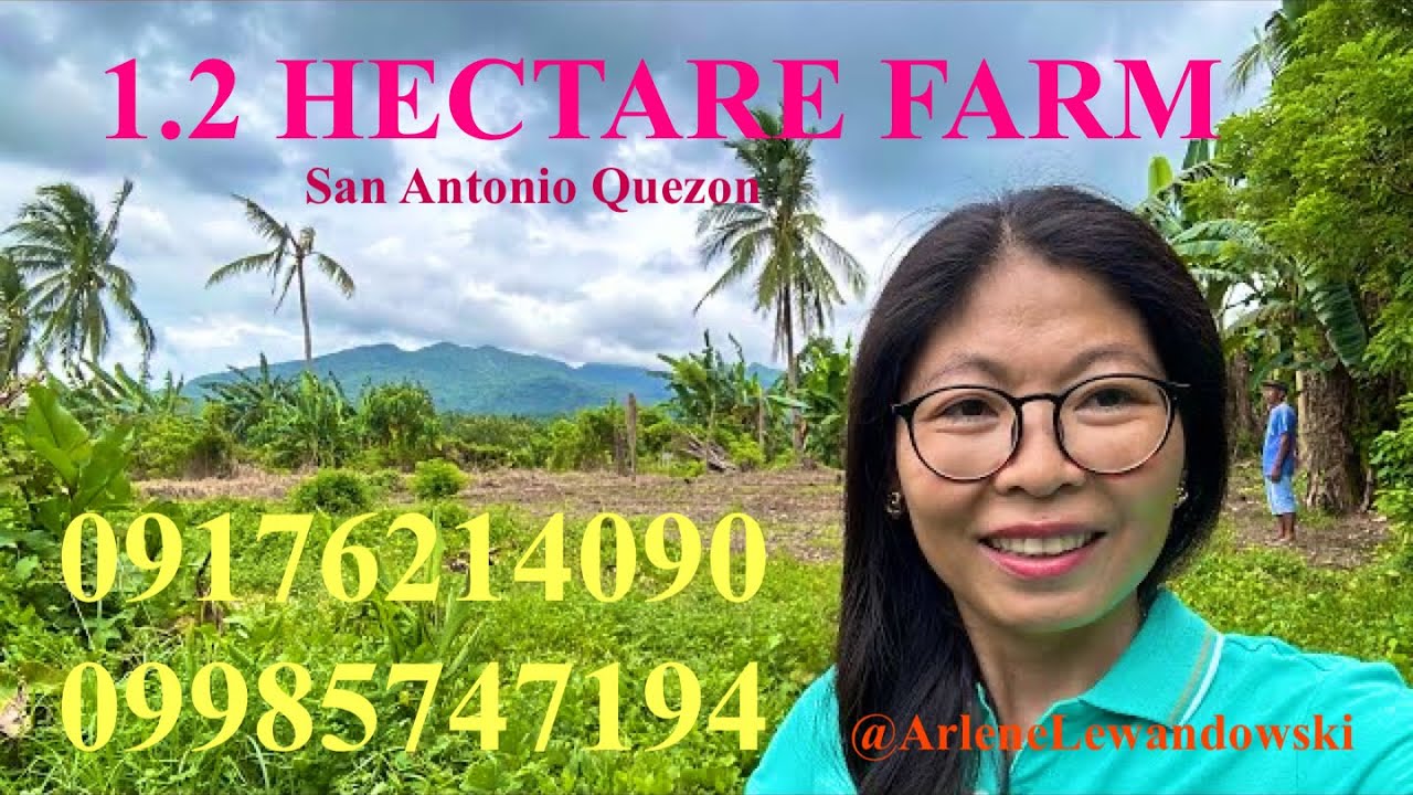 Vlog628: FOR SALE TITLED 1.2 HECTARE FARM WITH MOUNTAIN VIEW IN SAN ...