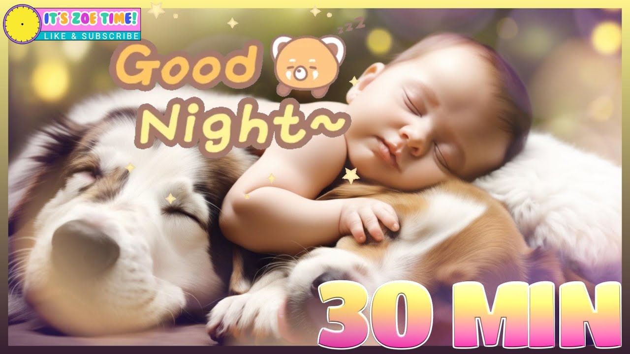⭐Bedtime Songs for Babies to Fall Asleep⭐Sleep Music for Dogs ⭐Lullaby ...