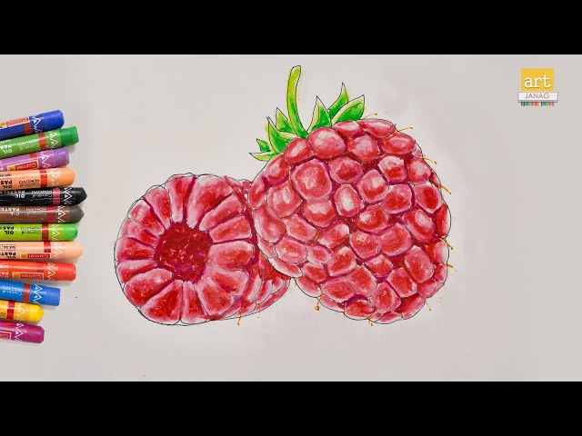 How To Draw A Raspberry How To Draw A Raspberry Step By Step