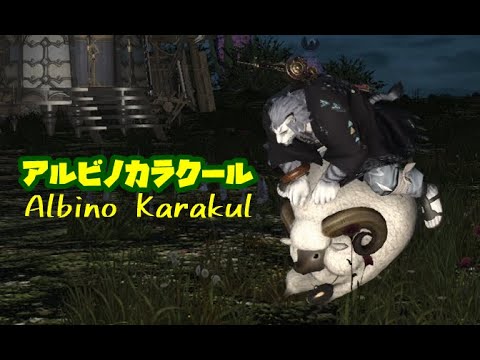 アルビノカラクール(Albino Karakul)のモーションが可愛い【FF14】 - YouTube