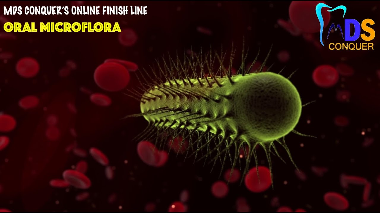 Oral microflora - YouTube