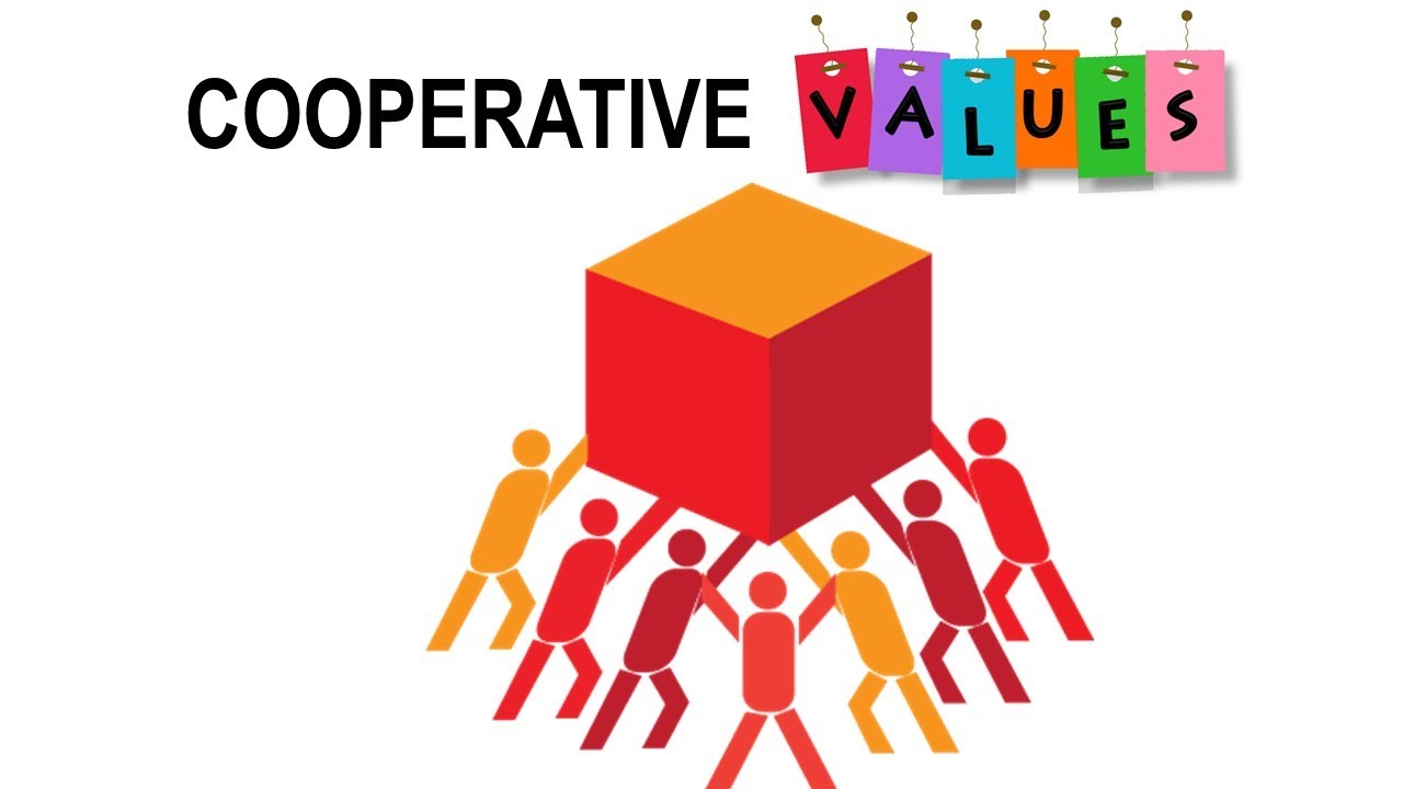 COOPERATIVE VALUES I ALL ABOUT COOPERATIVE COLLECTIONS - YouTube