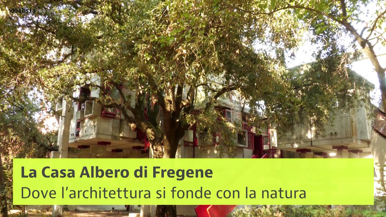 Alla scoperta della Casa Albero di Fregene - YouTube