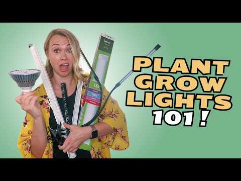 What Color Grow Light Is Best For Houseplants