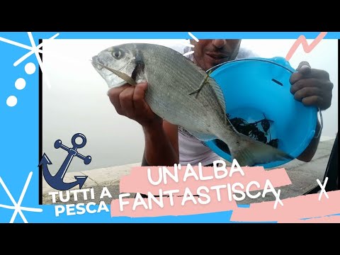 Un'alba fantastisca...(Granchio=Orata)⚓🎣 - YouTube