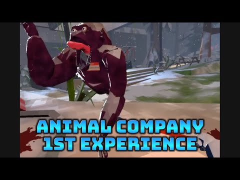 Gorilla Tag Pro Tries Animal Company - YouTube