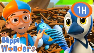 Blippi Learns How To Build A Birds Nest Blippi Wonders Blippi Cartoon ...