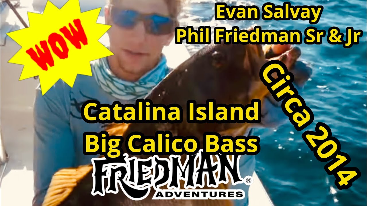Aggressive, big, Catalina Island calico bass slam giant swimbaits circa ...
