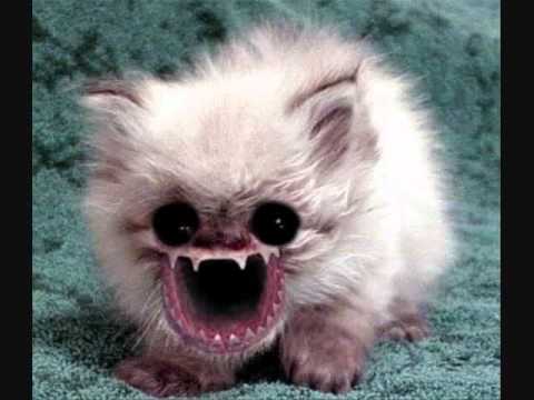 UMMM DFGHJKL - YouTube