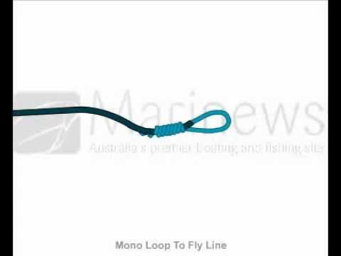 How to Tie Mono Loop To Fly Line Knot - YouTube