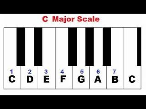 How to play the C Major Scale in Ascending & Descending Order - YouTube