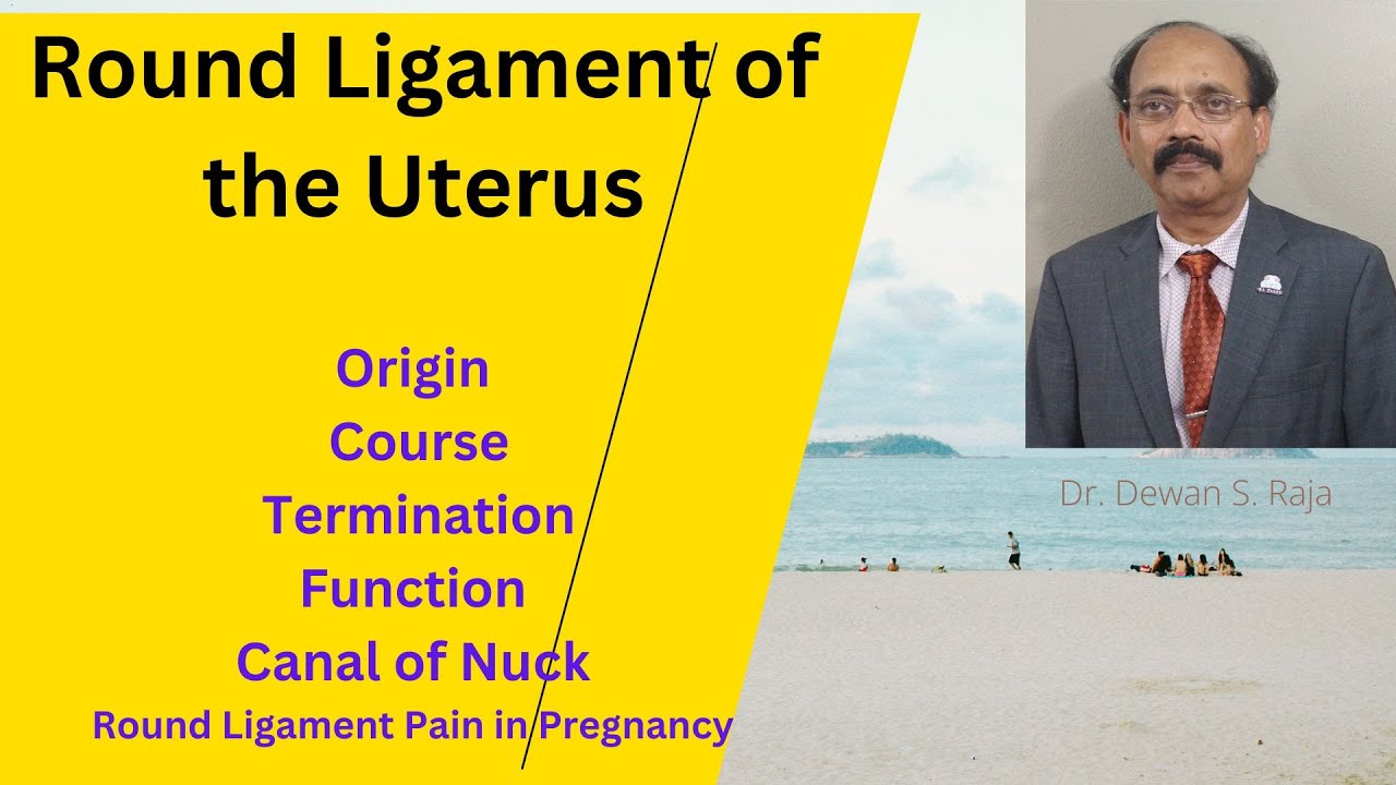 Round Ligament of the Uterus - YouTube
