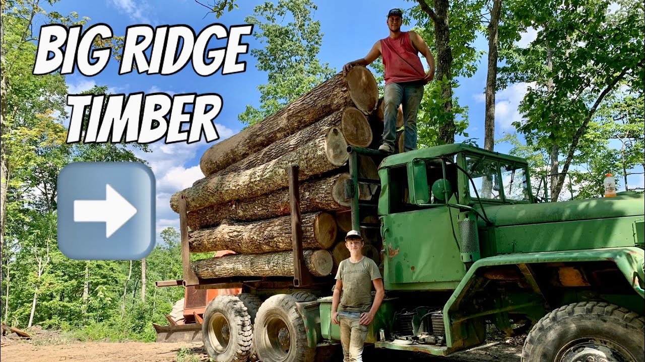 BIG TIMBER ON A NARROW RIDGE - YouTube