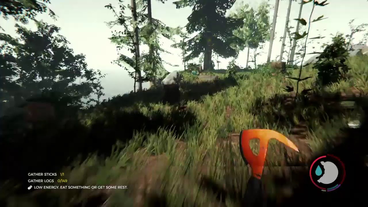 !The Forest 2 parte !!! - YouTube