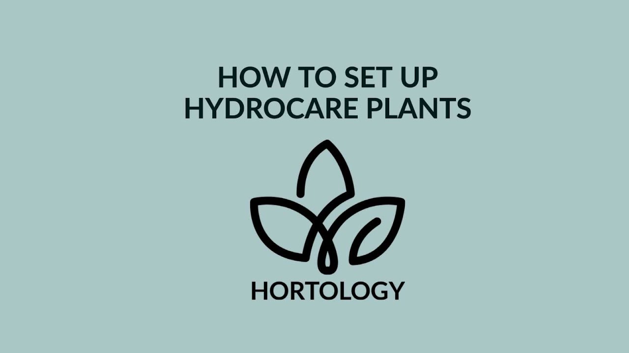 How To Set Up HydroCare Indoor Plants - YouTube
