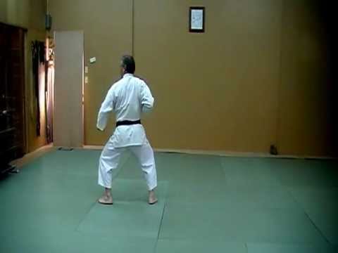 Isshin - Concentration the Art: The Kata of Meibukan Goju Yagi Meitoku