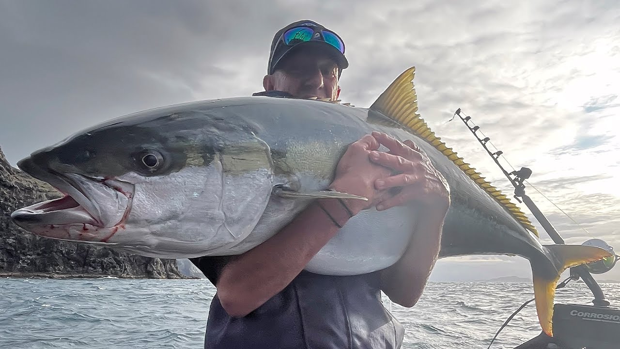 Hectic! Tuna, Thresher sharks and Big kingfish bite at the same time ...