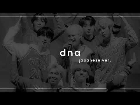 BTS - dna japanese ver. (slowed + reverb)