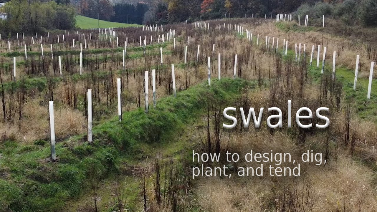 How to make swales - YouTube