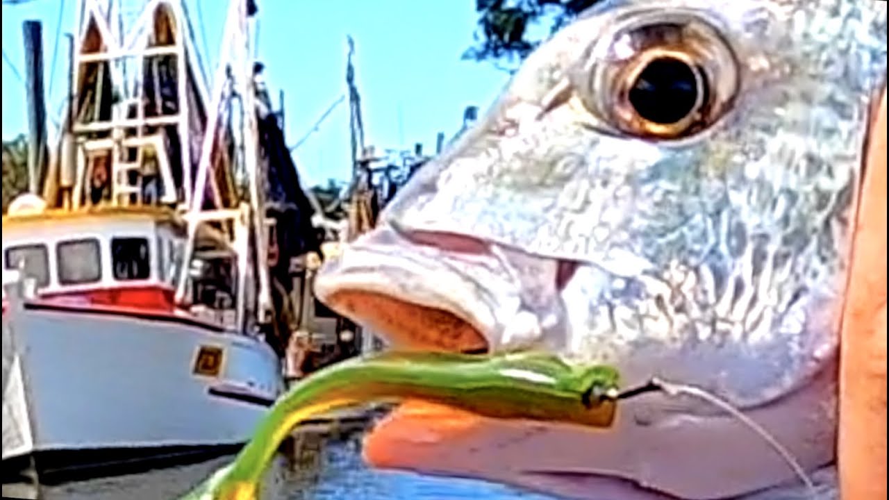Secrets to BREAM FISHING in 20 knots... - YouTube
