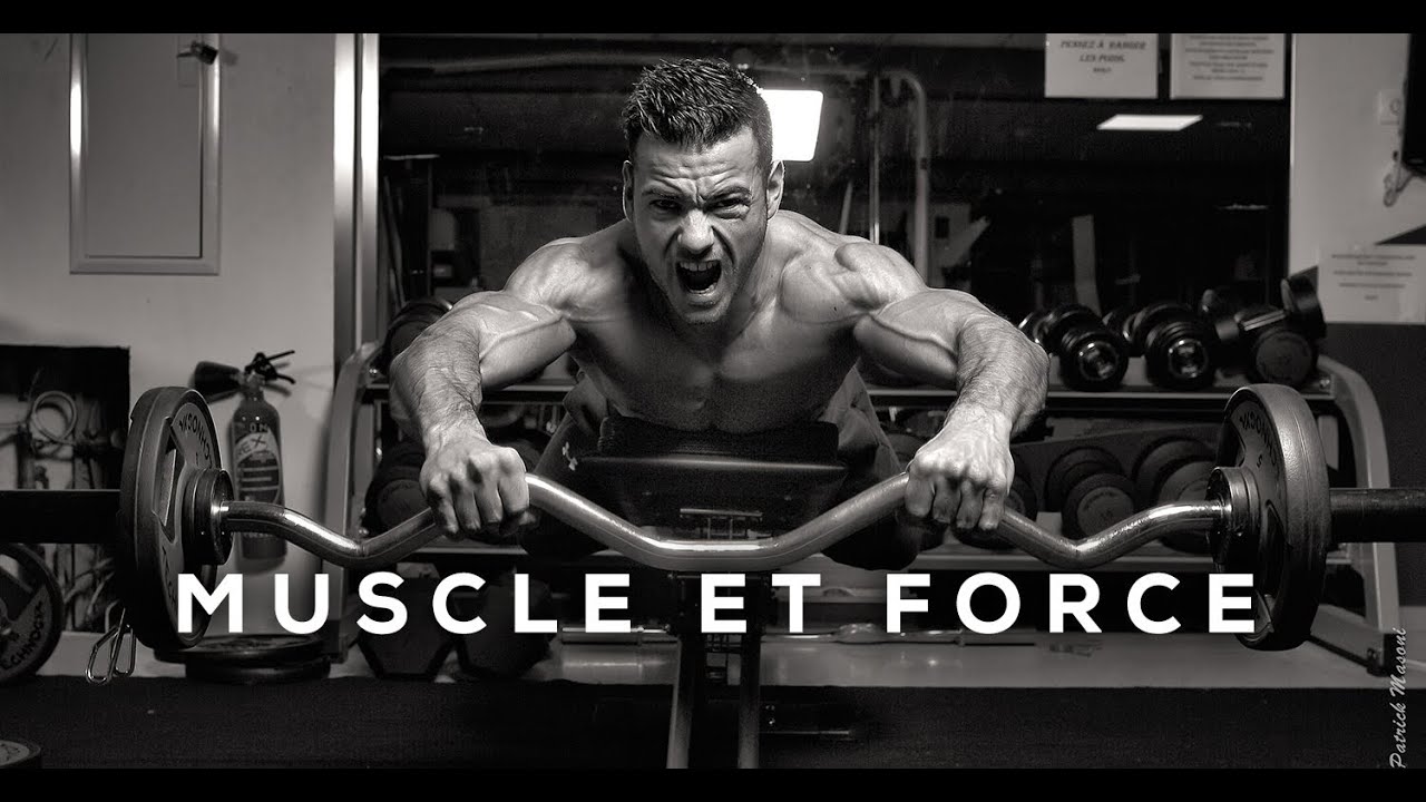 Prendre de la FORCE en musculation - FITNESSMITH (HD) - YouTube