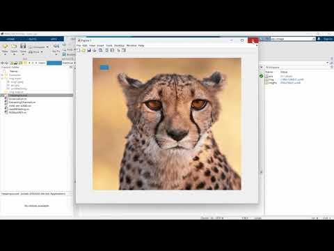 Matlab: read, save, info, image from folder - YouTube