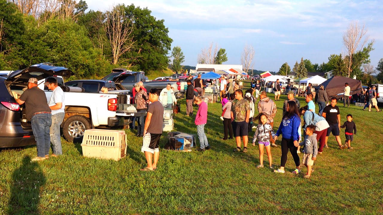 PK Swap Meet Animals Sale In Amherst,WI /July 22nd,2023 - YouTube