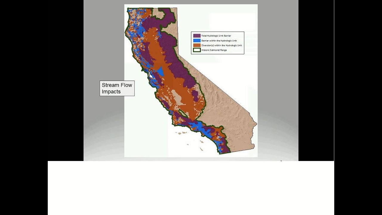 Development of Multi-Threaded Wetland Channels - YouTube