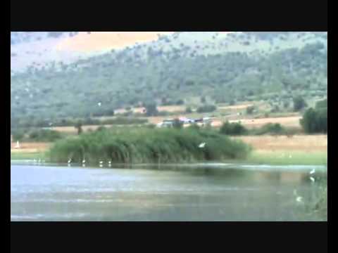 ΣΤΑΝΟΣ ΑΜΦΙΛΟΧΙΑΣ ΛΙΜΝΗ ΑΜΒΡΑΚΙΑ - YouTube