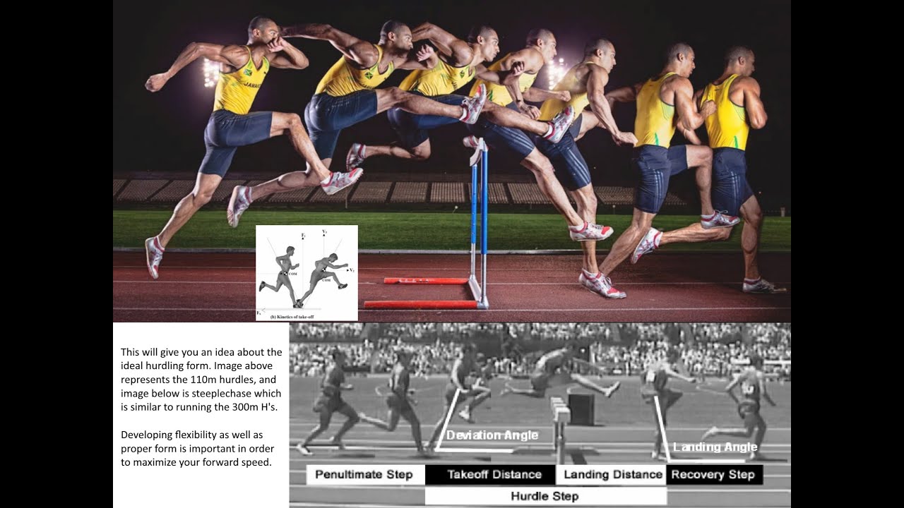 Study: Ideal Hurdle Takeoff (parabolic motion, side view) - YouTube