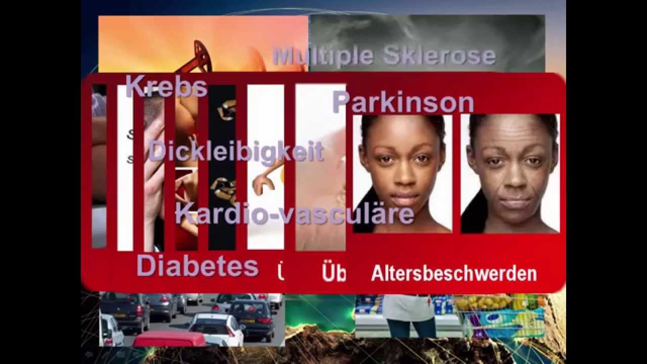 Das Konzept der 4 Pfeiler - YouTube