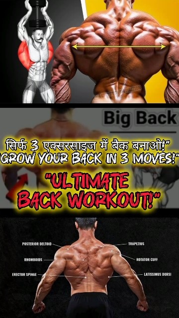 Ultimate Back Pump in Just 3 Moves!"#backworkout #motivation #gym #back ...