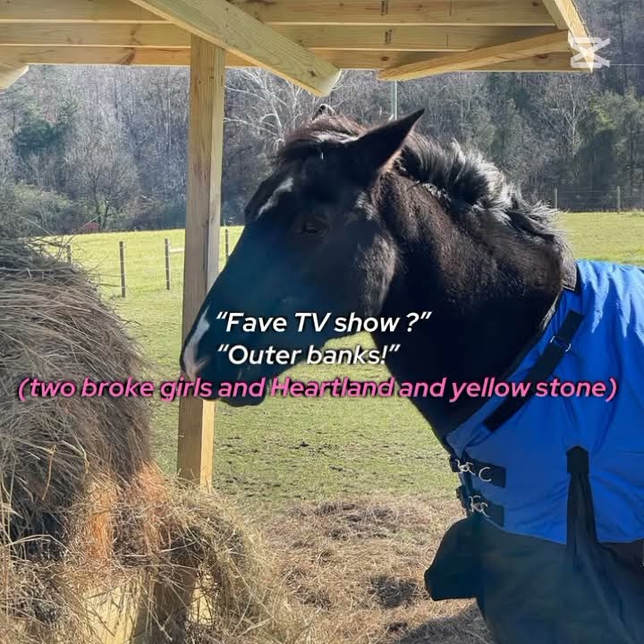 December 9, 2024 - YouTube