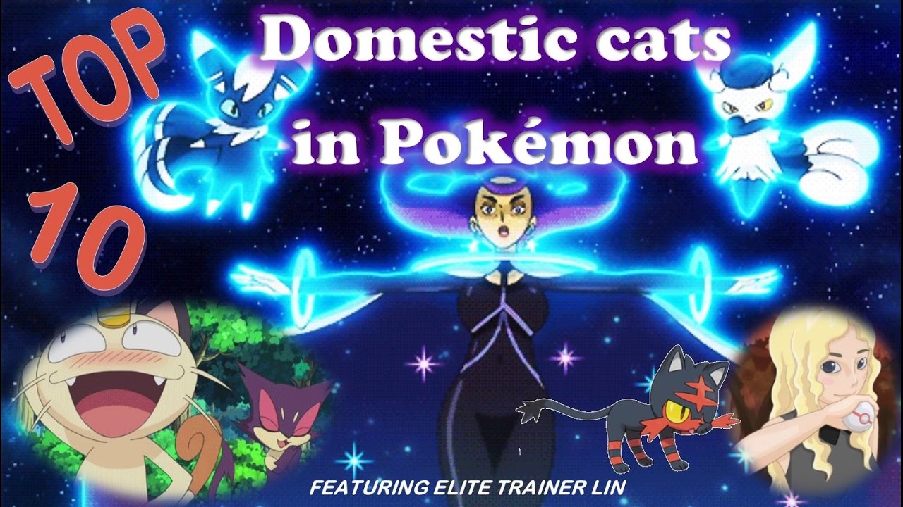 Top 10 Cats in Pokémon with Elite Trainer Lin || PokéVet Surgery ...